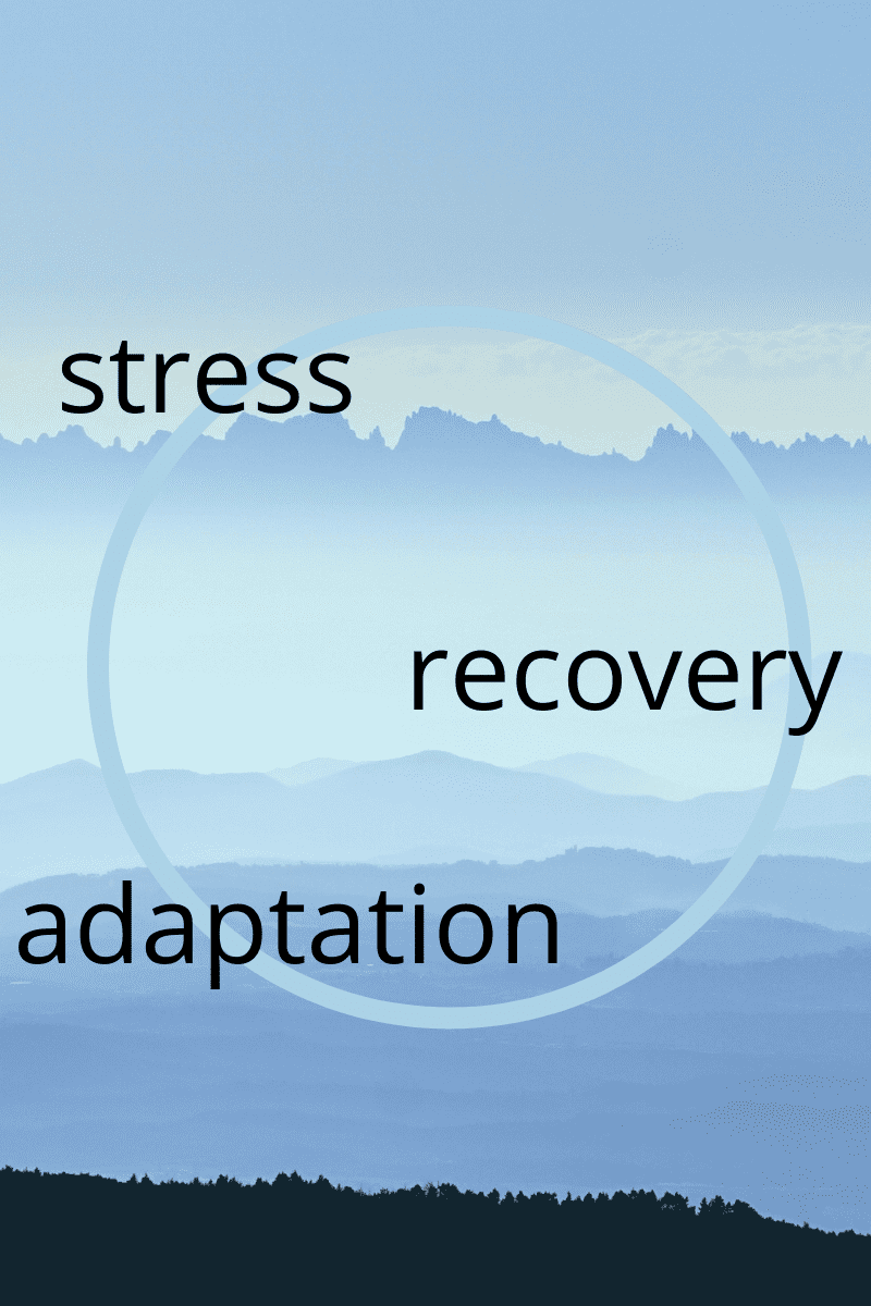 Stress Reducing Recovery Kit: 5 Items for a 5 Star Gift